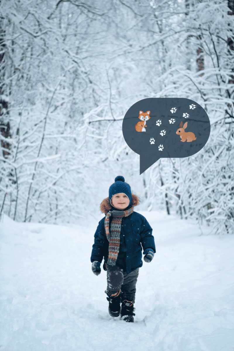 Brrr-illiant Winter Homeschool Activities - Maison Ecole