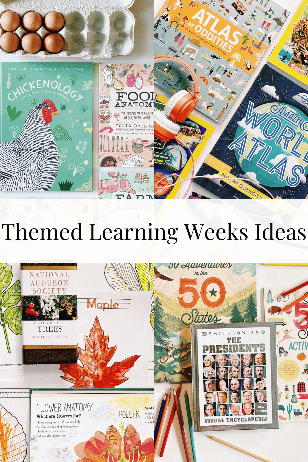 10 Inspirational Ideas for Your Flexible Homeschool Schedule - Maison Ecole